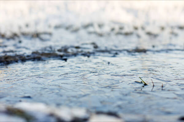 Timelapse bevriezen water vennetje - Timelapse kopen